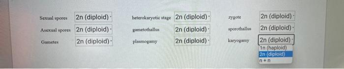 Solved please label the following with the wordbank | Chegg.com