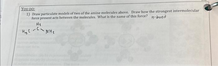 Solved YOU DO: 1) Draw particulate models of two of the | Chegg.com