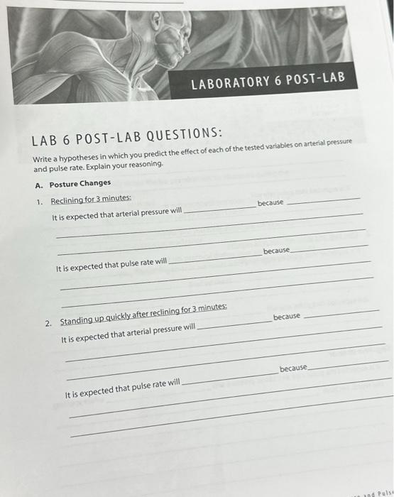 Solved LAB 6 POST-LAB QUESTIONS: Write a hypotheses in which | Chegg.com Solved LAB 6 POST-LAB QUESTIONS: Write a hypotheses in which | Chegg.com