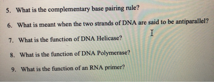 Solved 5. What is the complementary base pairing rule? 6. | Chegg.com