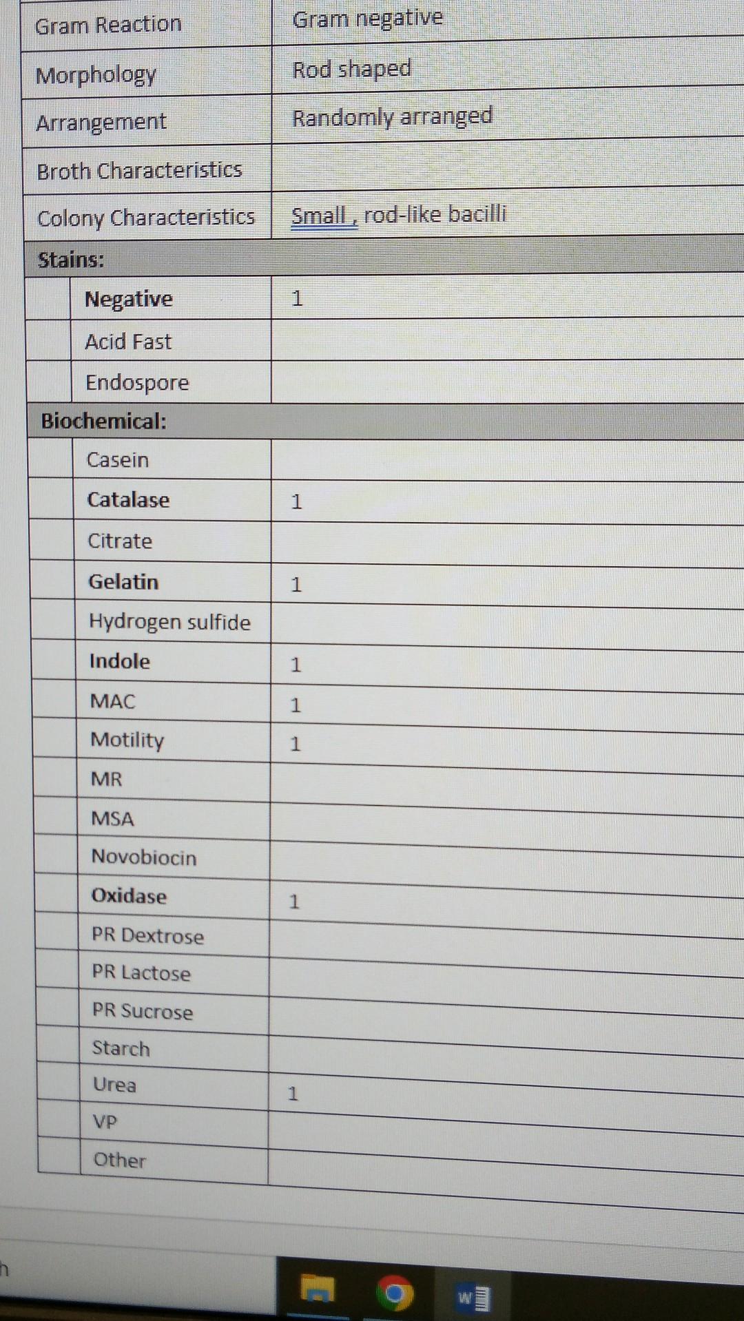 Solved - Based on the results of your Gram stain, which of | Chegg.com
