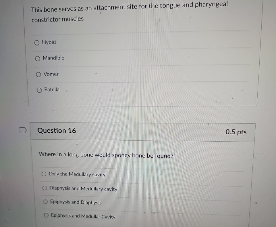 Solved This bone serves as an attachment site for the tongue | Chegg.com