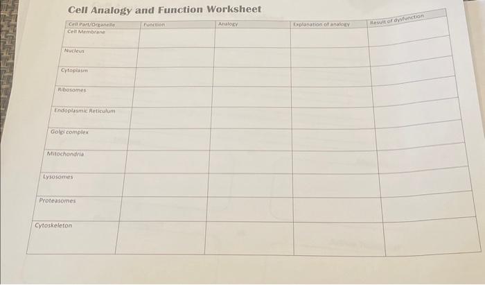 Solved Cell Analogy and Function Worksheet Cell Analogy and | Chegg.com