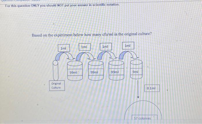 Solved For this question ONLY you should NOT put your answer | Chegg.com