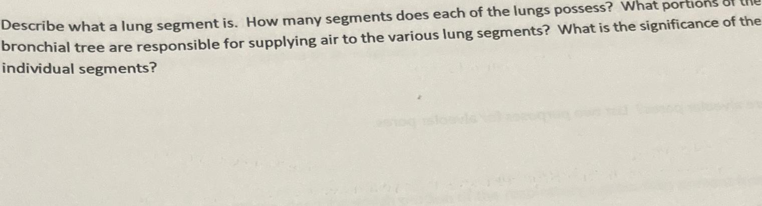 Solved Describe what a lung segment is. ﻿How many segments | Chegg.com