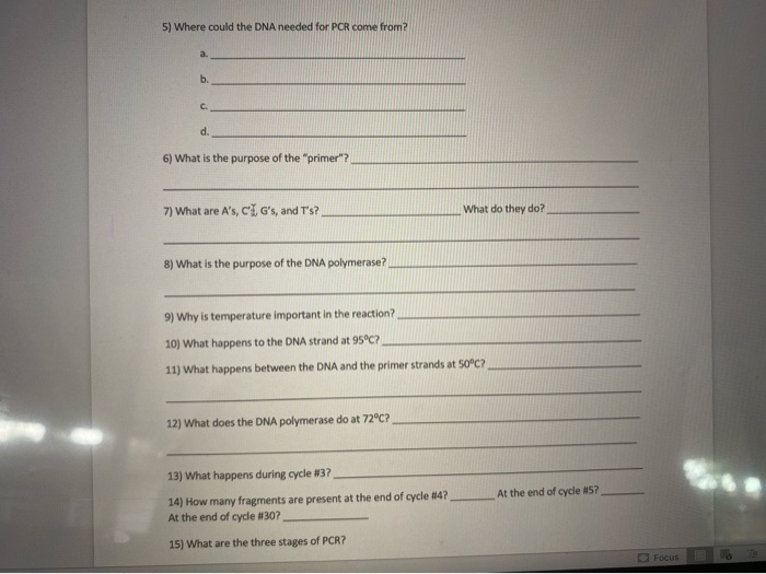 Solved PCR Questions: 1) What three things is PCR used to | Chegg.com