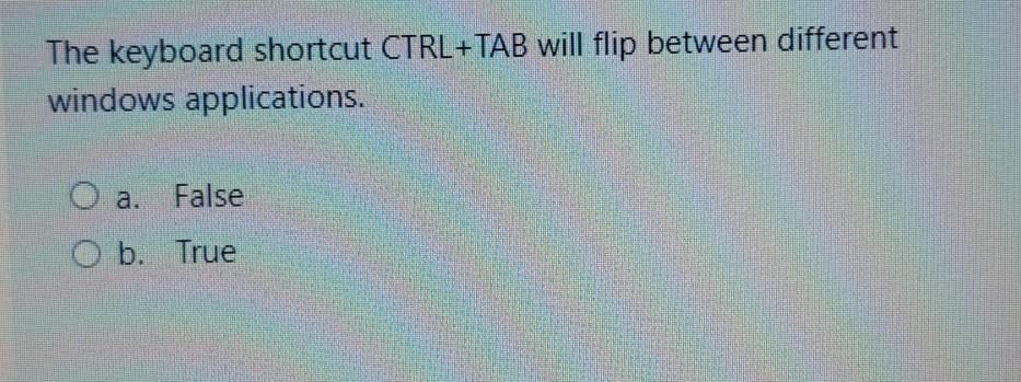 Solved The keyboard shortcut CTRL+TAB will flip between | Chegg.com