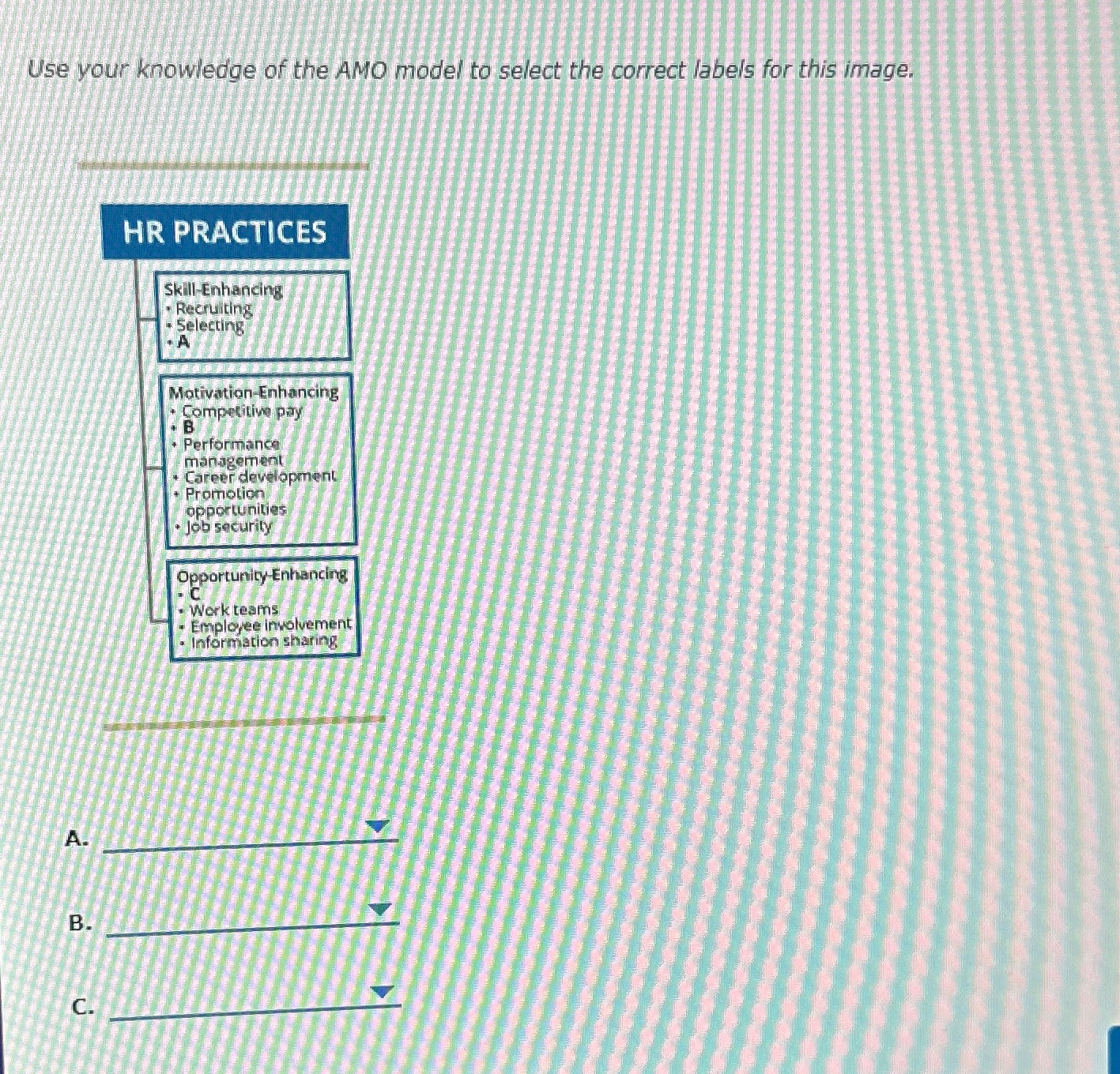 Solved Use your knowledge of the AMO model to select the | Chegg.com
