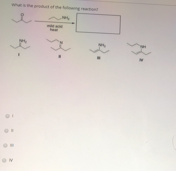Solved What is the product of the following reaction? ~ NH₂ | Chegg.com
