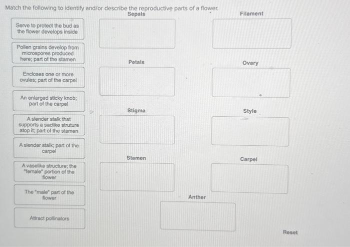 Classify the following characteristics to describe | Chegg.com