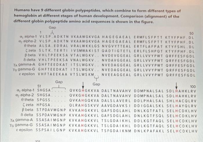 Solved Humans have 9 different globin polypeptides, which | Chegg.com