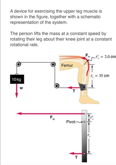 Solved A device for exercising the upper leg muscle is shown | Chegg.com