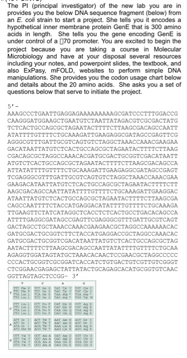 The PI (principal investigator) of the new lab you | Chegg.com