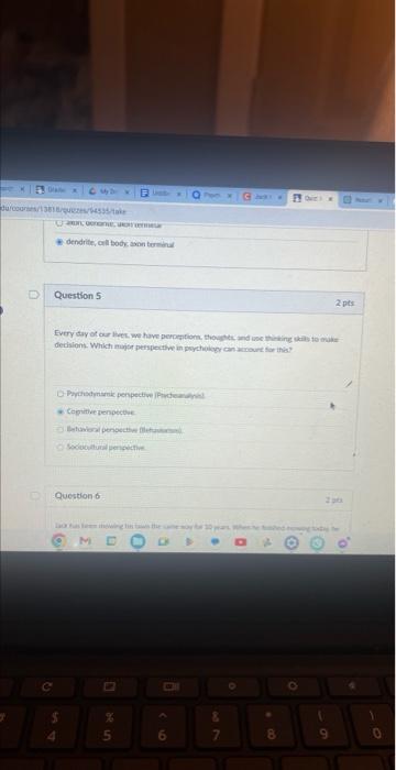 Solved dendrite, call body asin tormina Question 5 | Chegg.com