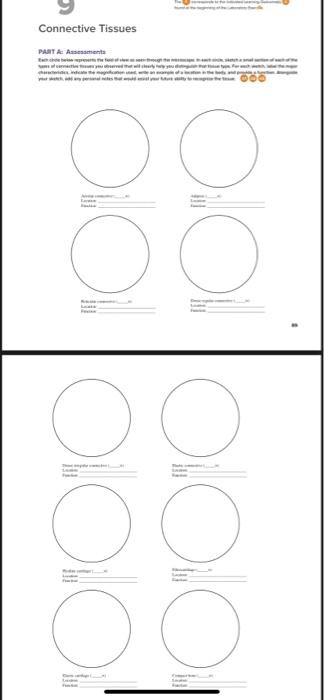 Connective Tissues PASTA: Asenta Bohem m. OLOLOLOLO | Chegg.com