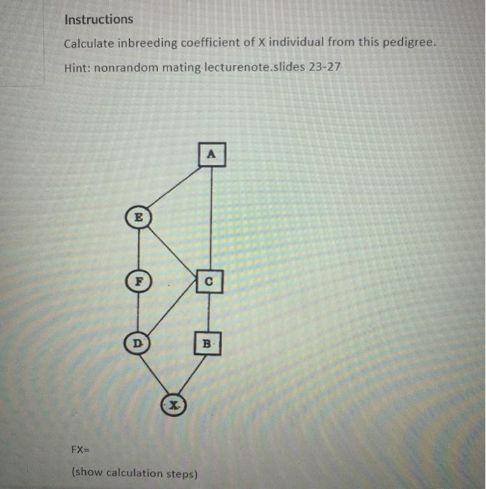 Solved Instructions Calculate inbreeding coefficient of X | Chegg.com