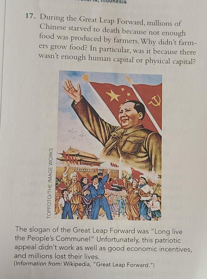 Great Leap Forward Poster