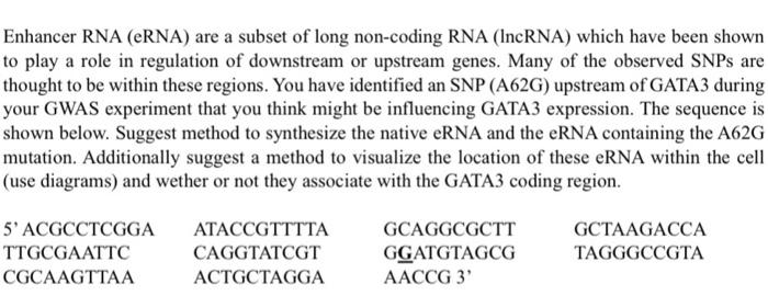 Solved Enhancer RNA (eRNA) are a subset of long non-coding | Chegg.com