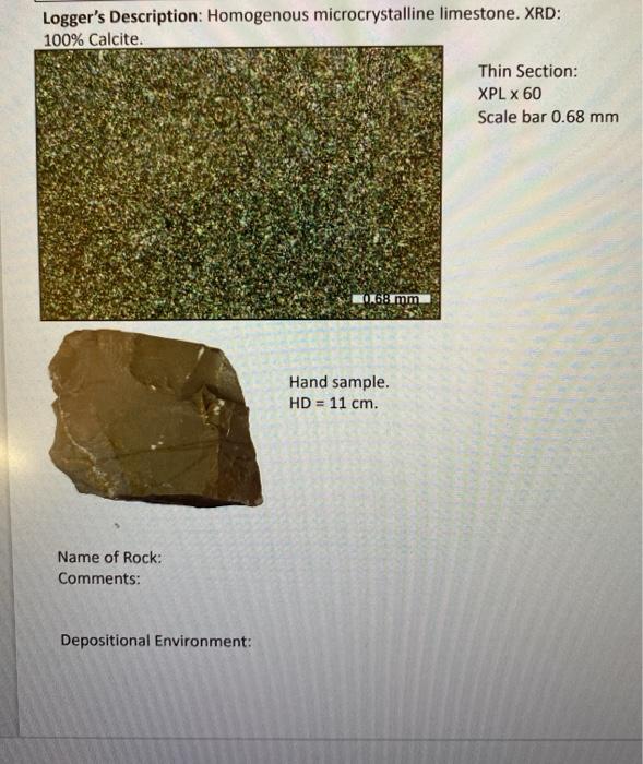 Solved Logger's Description: Homogenous microcrystalline | Chegg.com