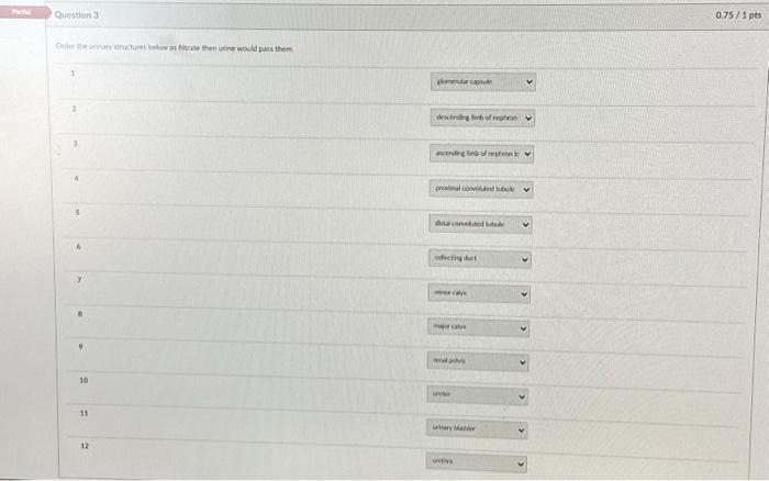 Solved order the urinary structures below as filtrate then | Chegg.com