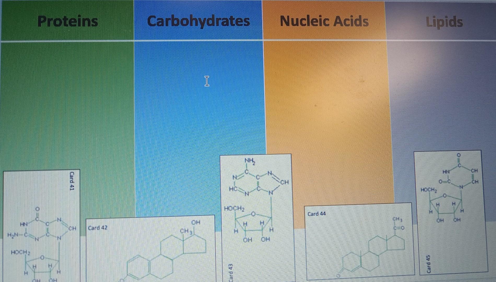 Card 6Nucleic Acids LipidsLipids Card 19Proteins | Chegg.com