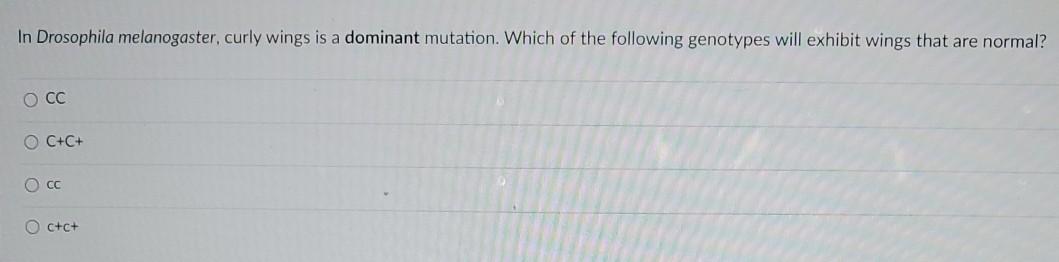 Solved In Drosophila melanogaster, curly wings is a dominant | Chegg.com