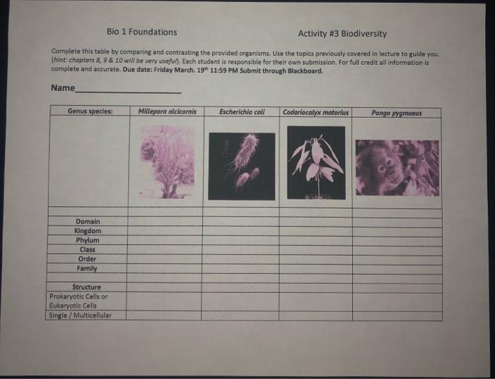 Solved Bio 1 Foundations Activity #3 Biodiversity Complete | Chegg.com