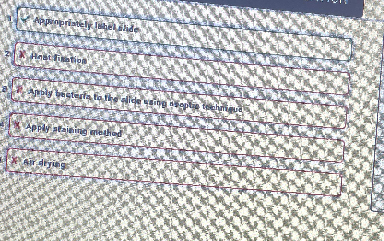 Solved 1 ﻿ve Appropriately label alide3. ﻿II Apply bacteria | Chegg.com