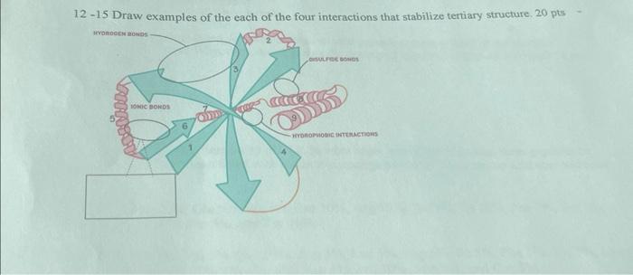 Solved 12−15 Draw examples of the each of the four | Chegg.com