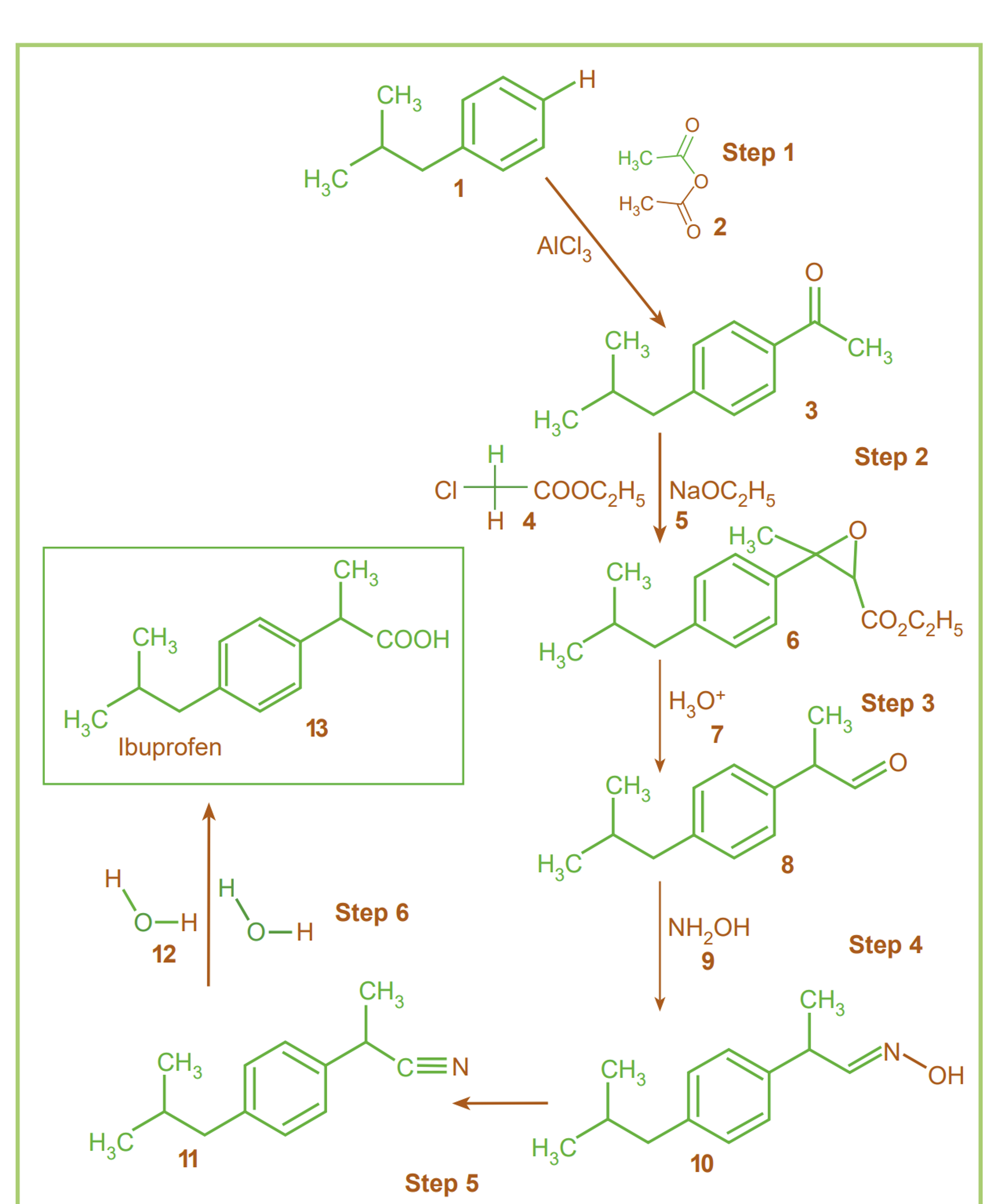 Solved Explain the 6 ﻿step synthesis mechanism of creating | Chegg.com