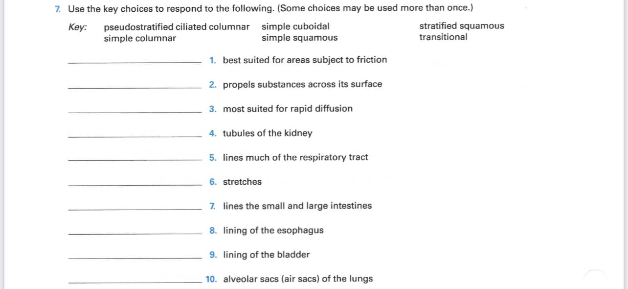 Solved Use the key choices to respond to the following. | Chegg.com
