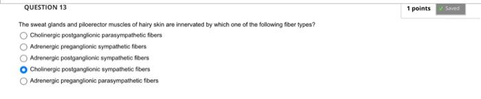 Solved The sweat glands and piloerector muscles of hairy | Chegg.com