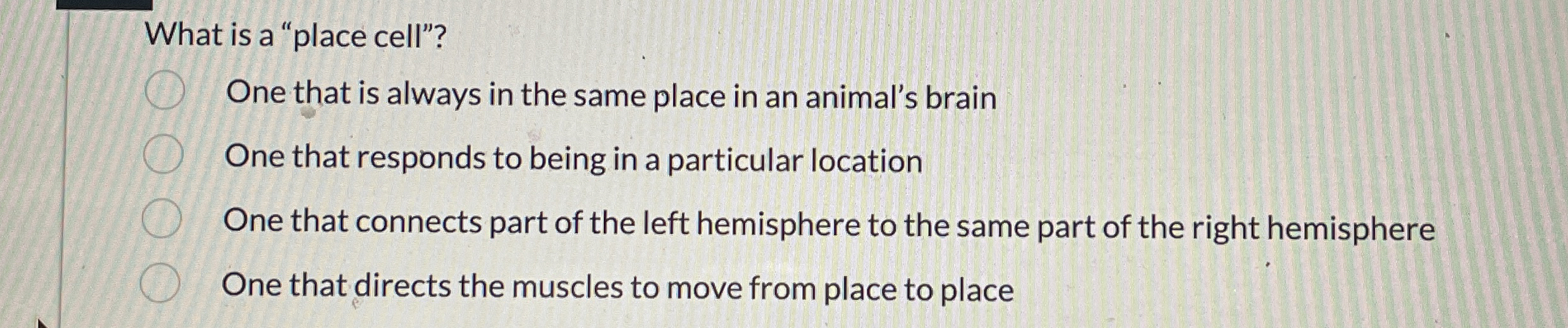 Solved What is a "place cell"?One that is always in the same | Chegg.com