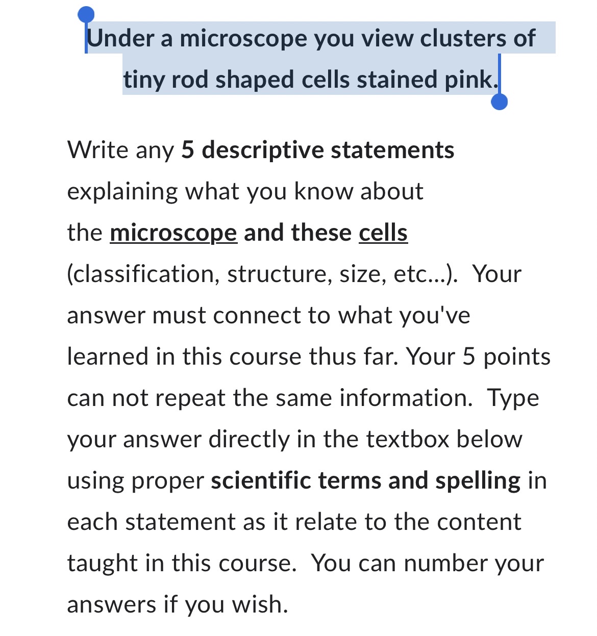 Solved Under a microscope you view clusters oftiny rod | Chegg.com