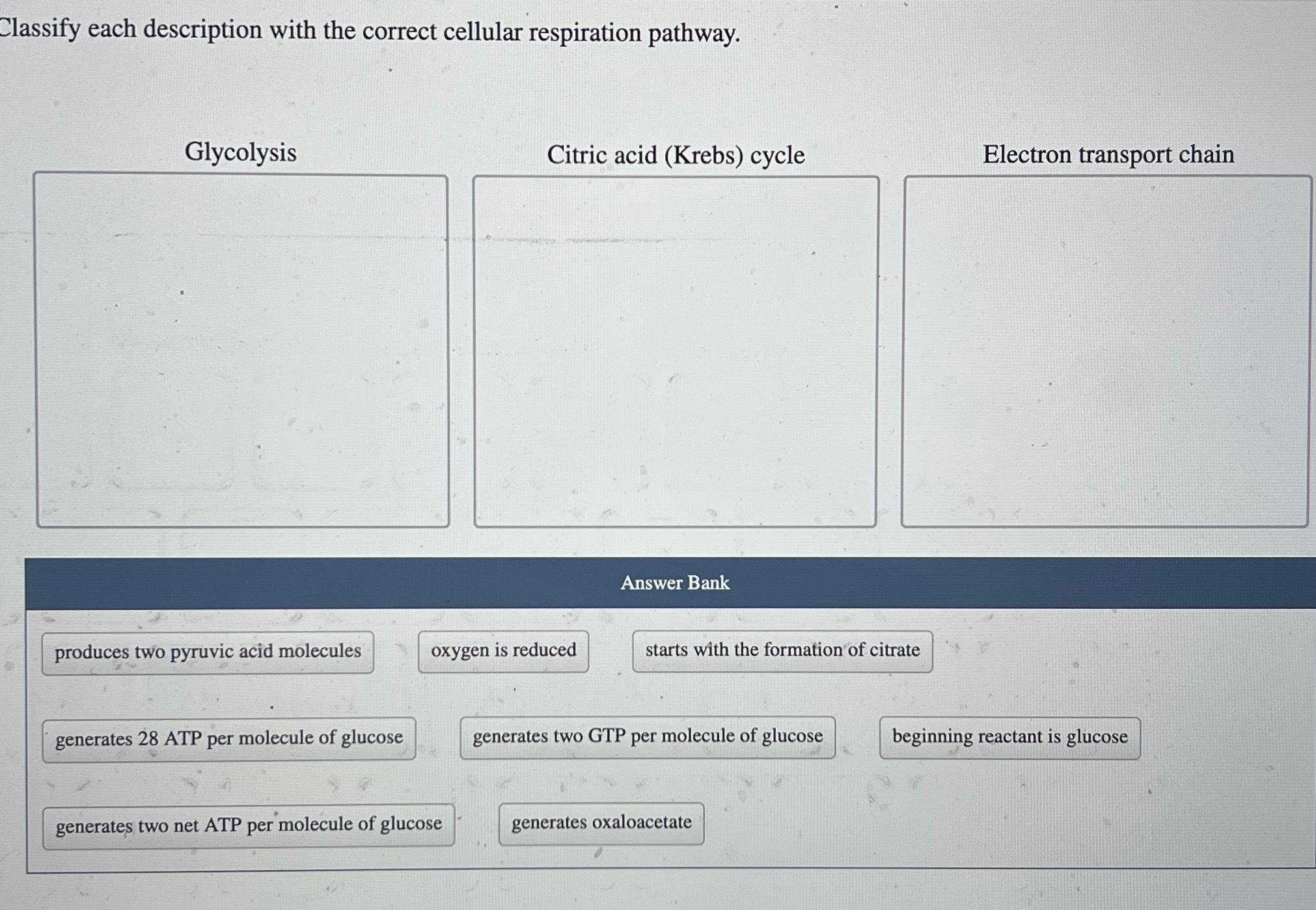 Solved Classify each description with the correct cellular | Chegg.com