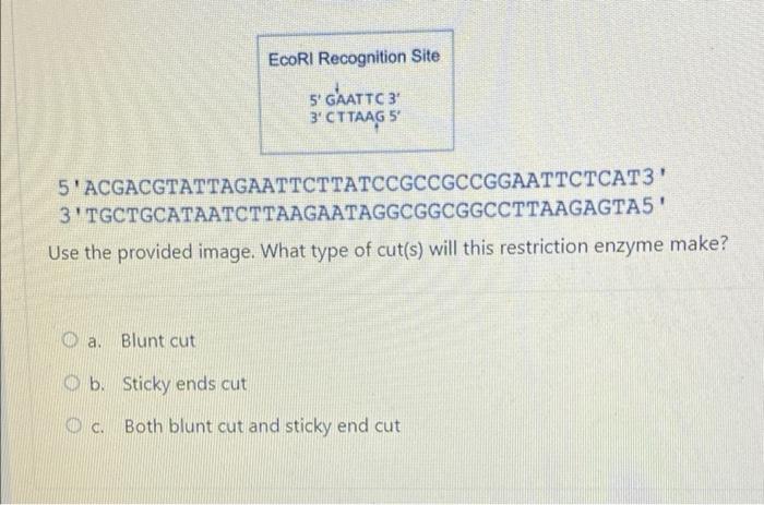 Solved EcoRI Recognition Site 5 GAATTC 3: 3' CTTAAG 5 | Chegg.com