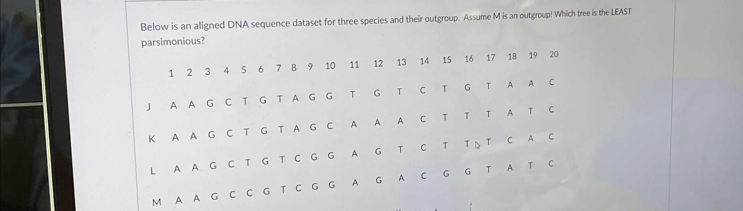 Solved Below is an aligned DNA sequence dataset for three | Chegg.com