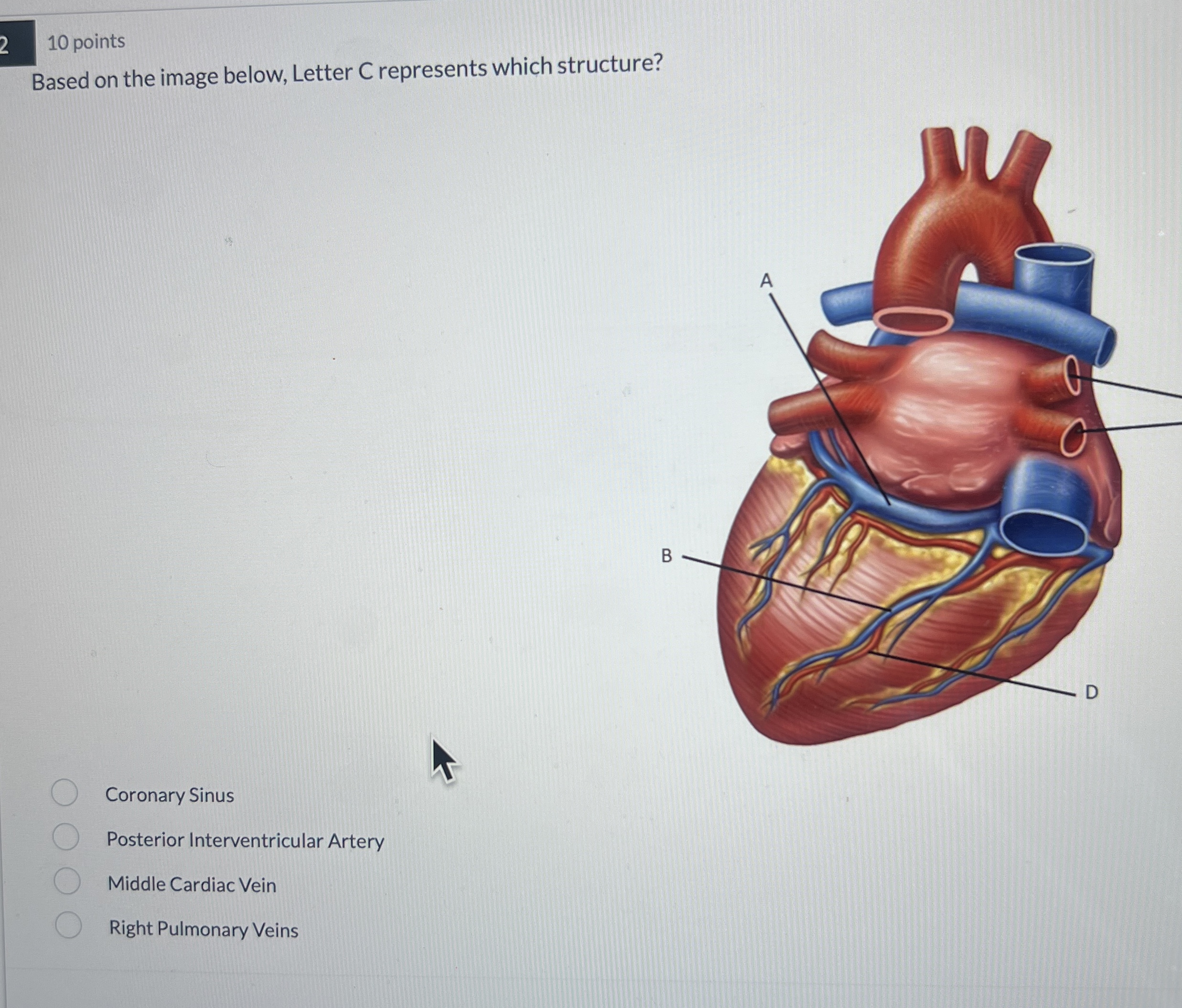 Solved 10 ﻿pointsBased on the image below, Letter C | Chegg.com