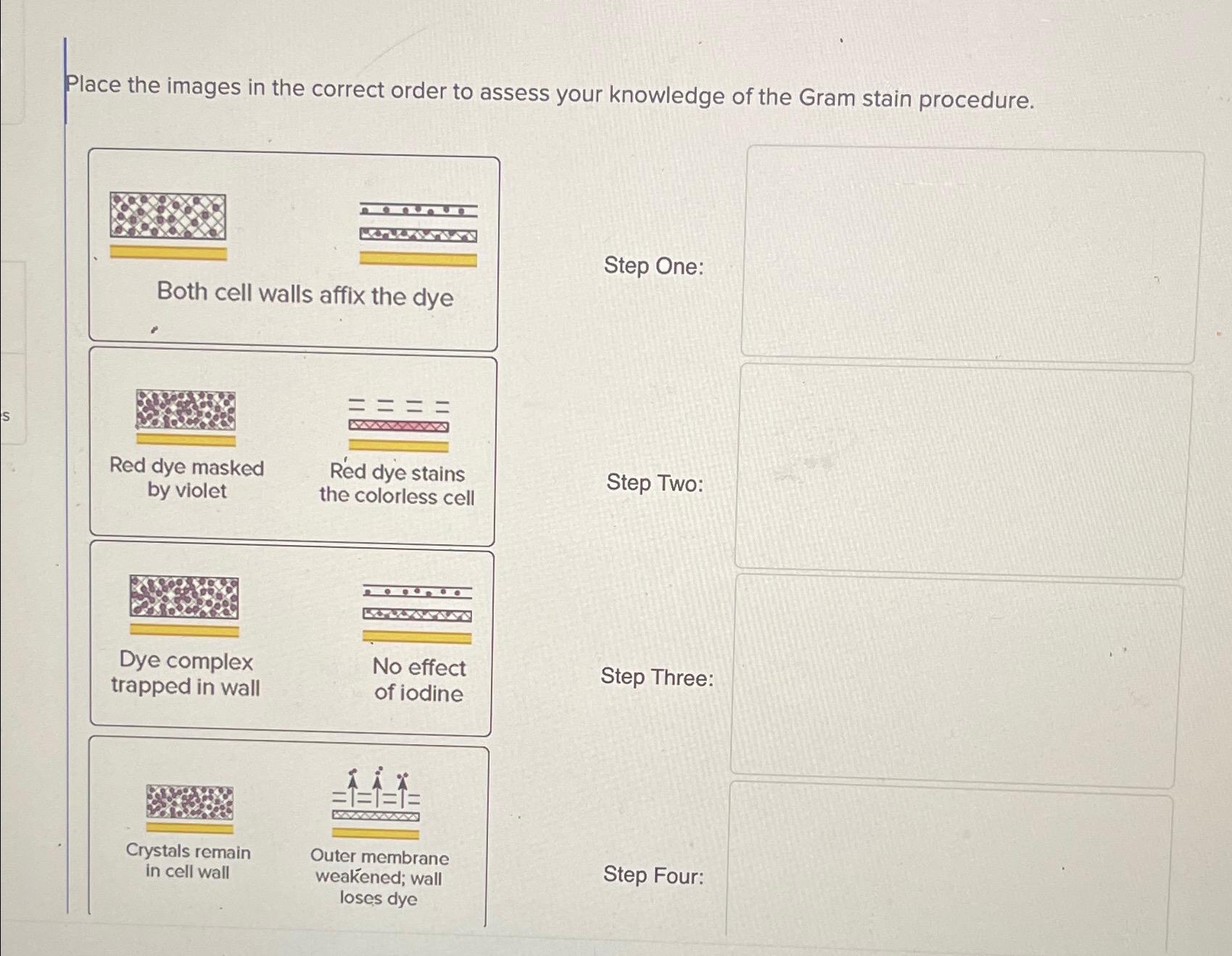 Solved Place the images in the correct order to assess your | Chegg.com