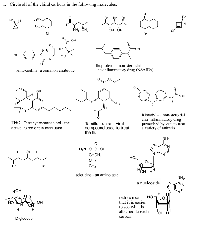 Solved 1. ﻿Circle all of the chiral carbons in the following | Chegg.com