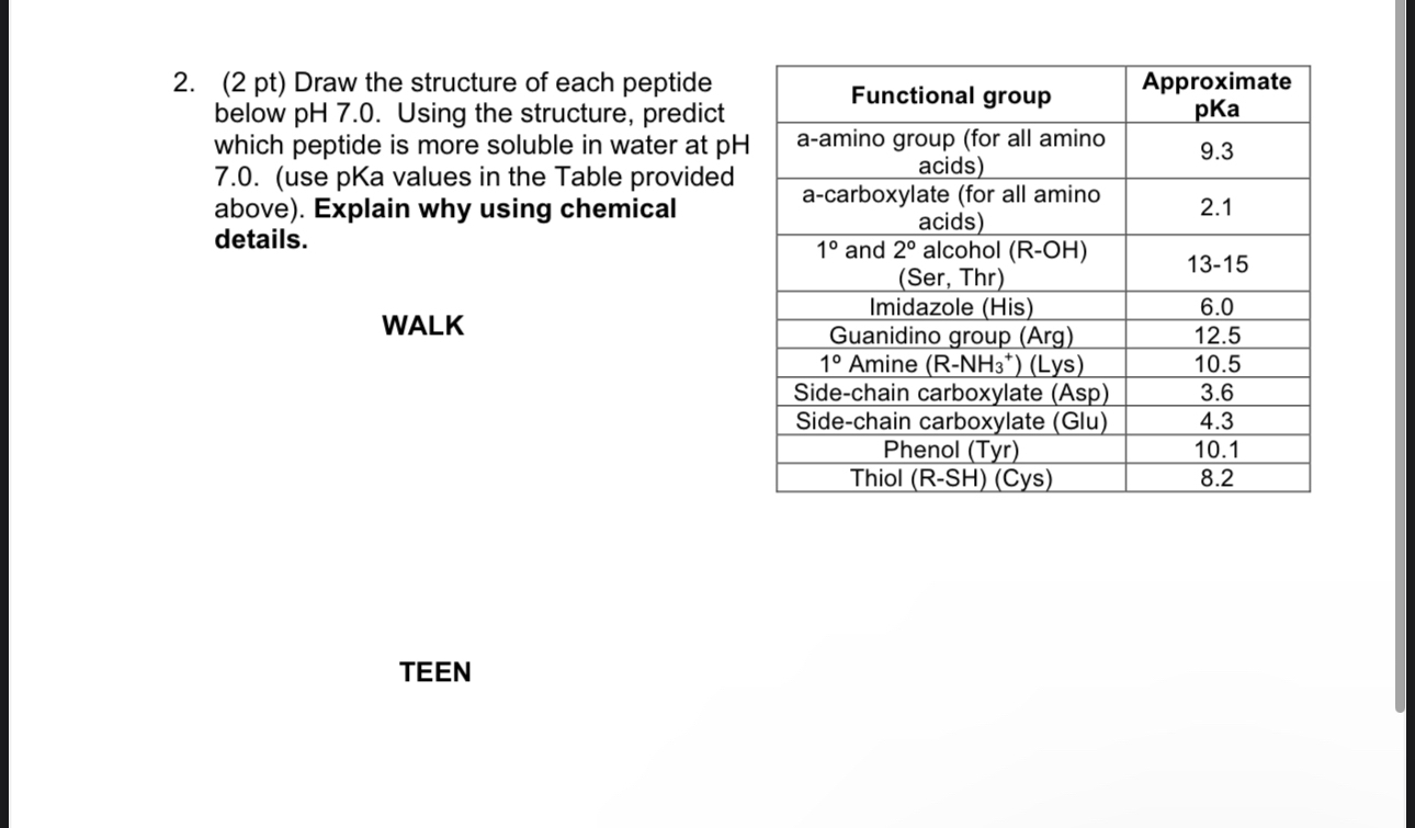 Solved (2 ﻿pt) ﻿Draw the structure of each peptidebelow pH | Chegg.com