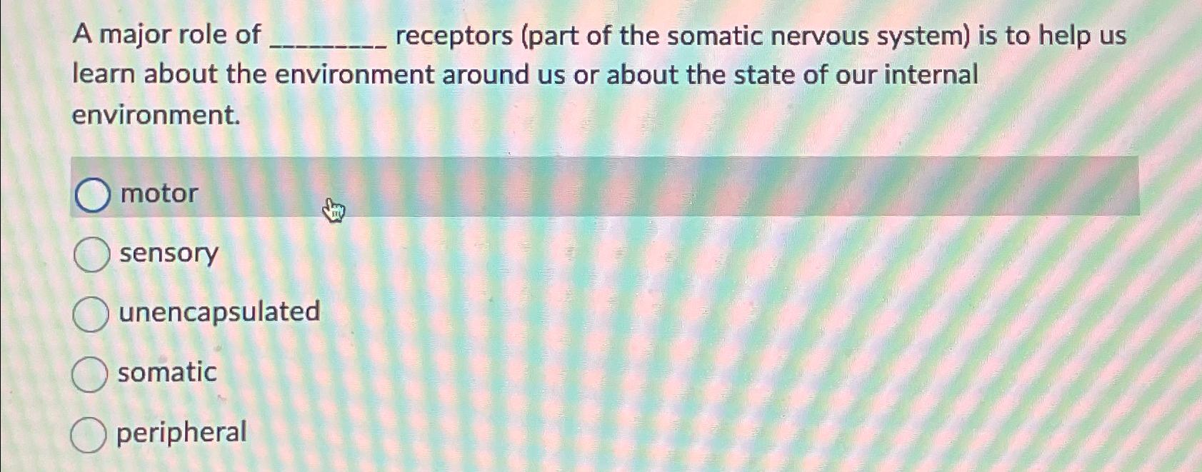 Solved A major role of receptors (part of the somatic | Chegg.com