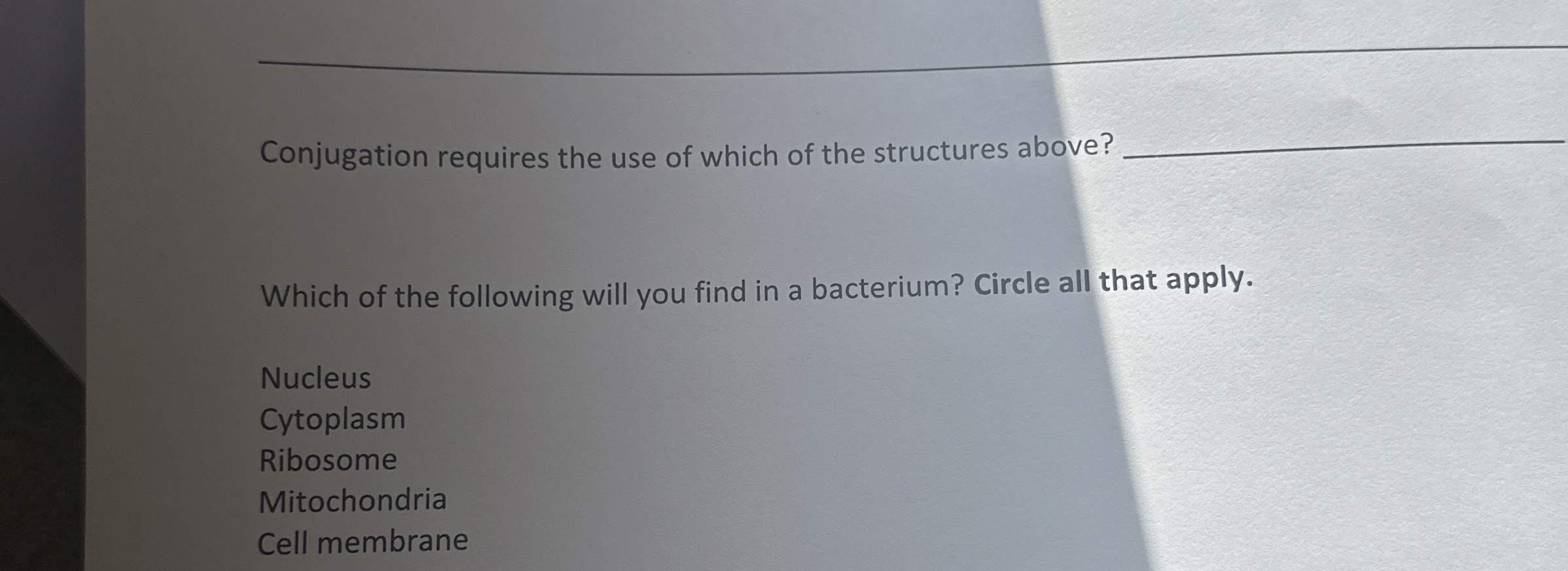 Solved Conjugation requires the use of which of the | Chegg.com