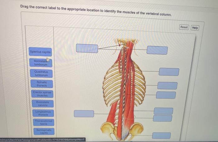 Solved Drag the correct label to the appropriate location to | Chegg.com