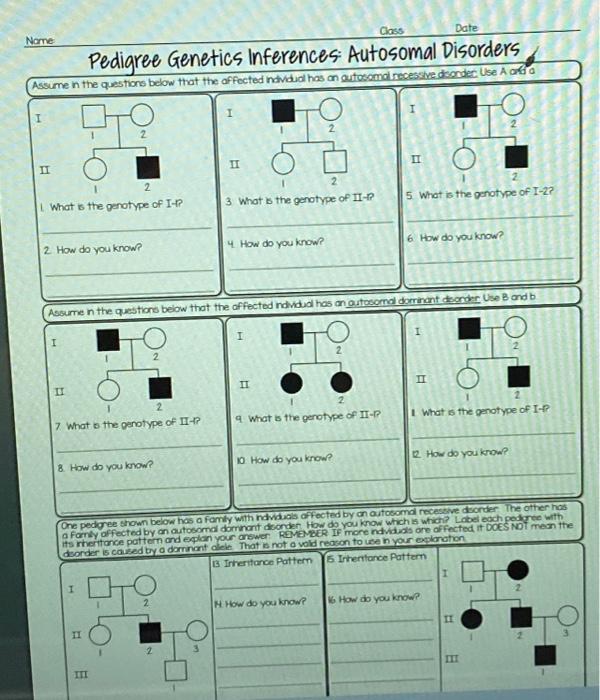Solved Class: Date Pedigree Genetics Inferences: Autosomal | Chegg.com