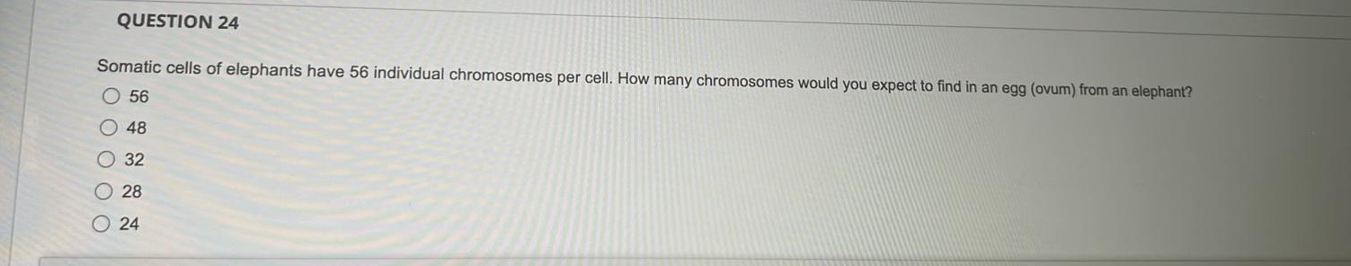 Solved QUESTION 24Somatic cells of elephants have 56 | Chegg.com