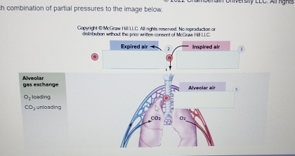 Solved th combination of partial pressures to the image | Chegg.com