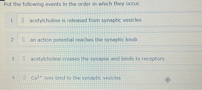 Solved Put the following events in the order in which they | Chegg.com