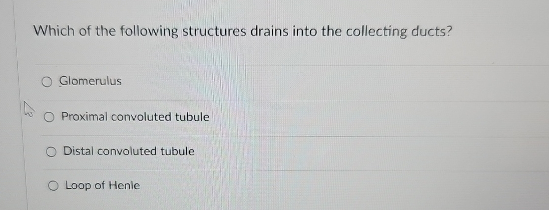 Solved Which of the following structures drains into the | Chegg.com