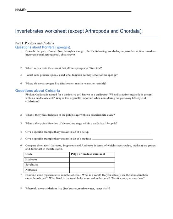 Solved Invertebrates worksheet (except Arthropoda and | Chegg.com